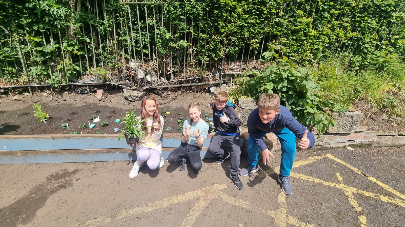 Netherthird Primary Visit : Yipworld